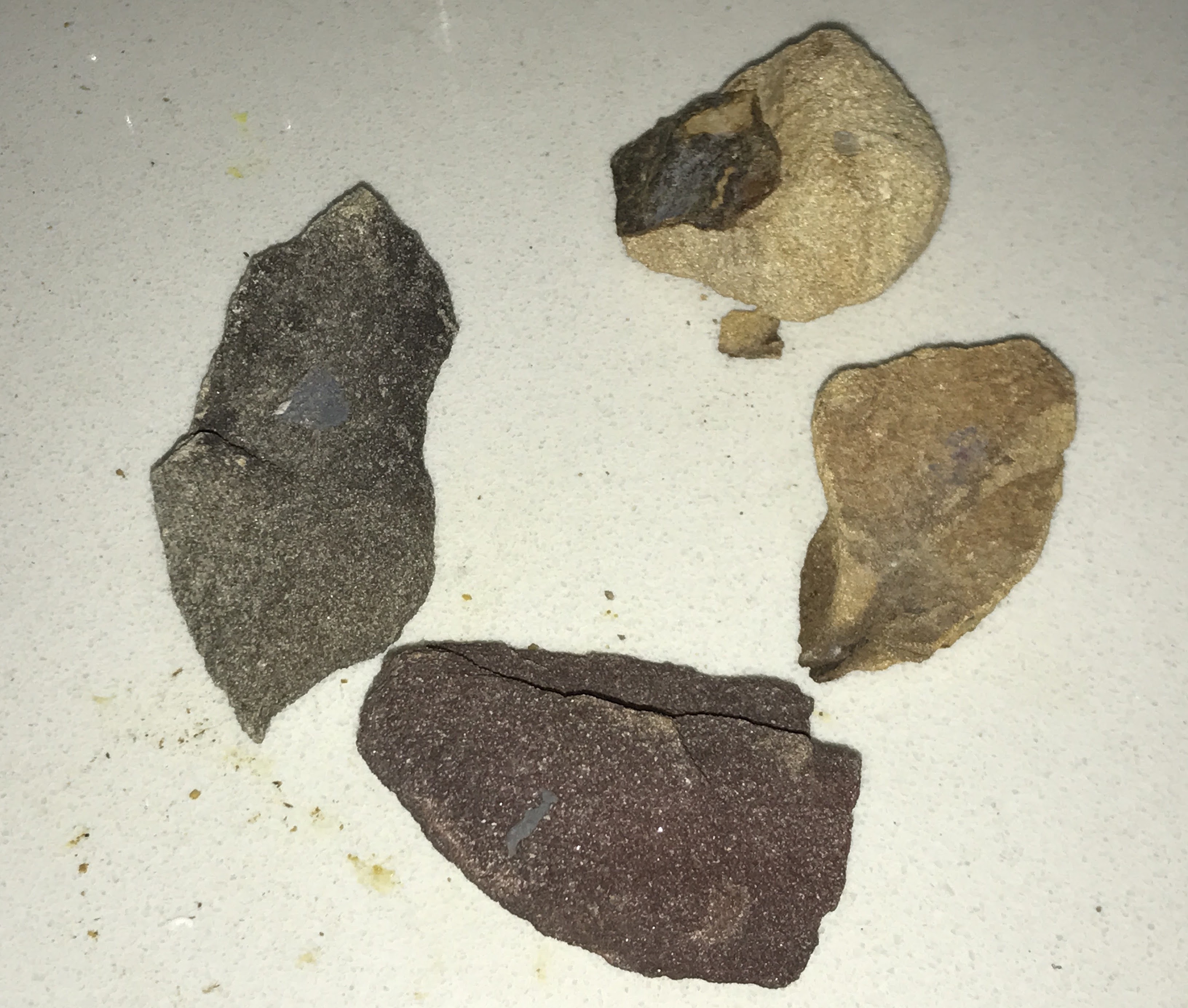 The beautiful rocks in Putty beach – Demystifying a skeptic's world